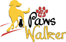 Home - 4 Paws Dog Walker